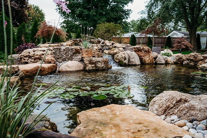 What Is a Koi Pond? See Why It’s Not Just a Water Feature